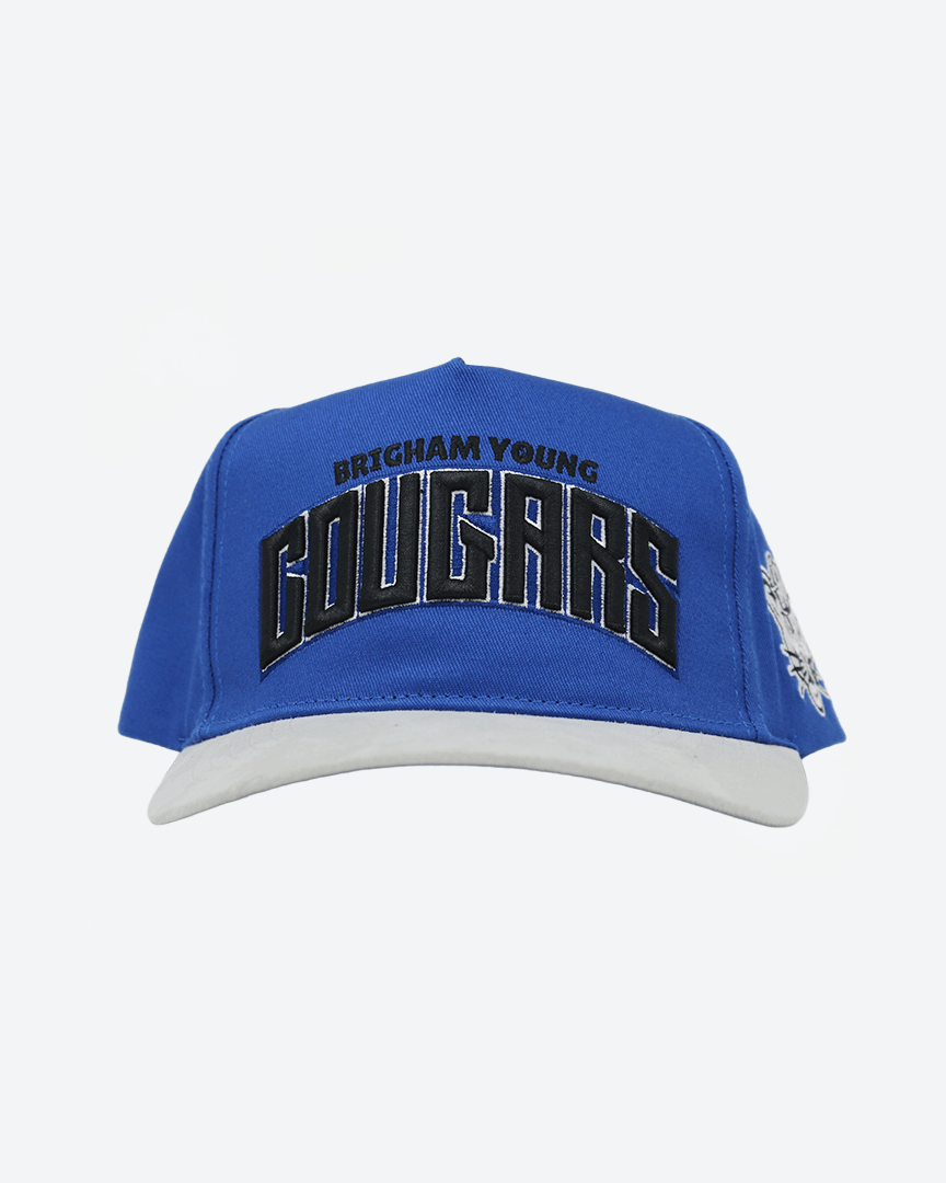 Truwear Cougars Fade Hat Adults – The Royal Blue
